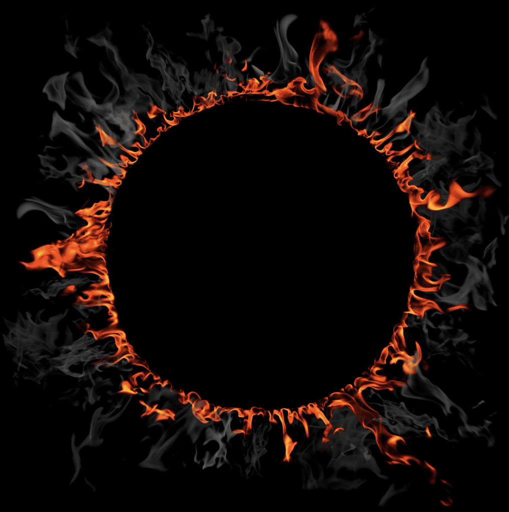 Unlocking the Mystery: The Key Differences Between Fields and Records ...