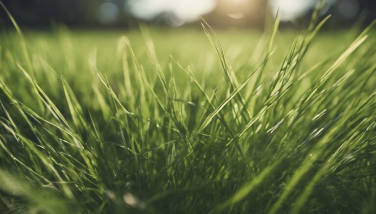 15 Best Drought-Tolerant Grass Varieties for a Lush and Resilient Lawn ...