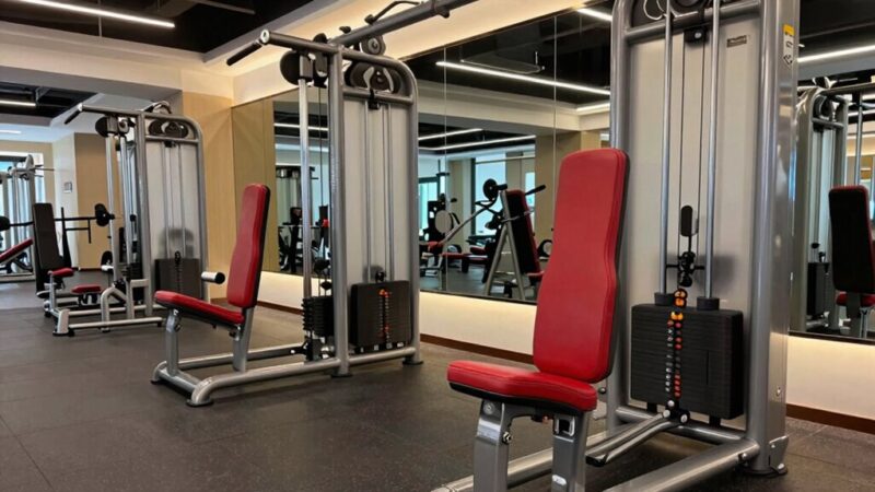15 Best Lat Pulldown Machines for Strength and Muscle Growth in 2026 ...